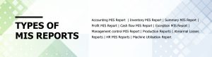 MIS Report: Definition, Importance, Types, and Examples