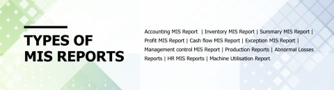 MIS Report: Definition, Importance, Types, and Examples